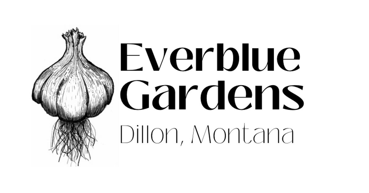 Garlic Comparison Chart – Everblue Gardens