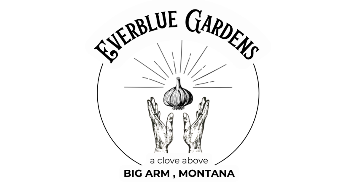 Garlic Comparison Chart – Everblue Gardens